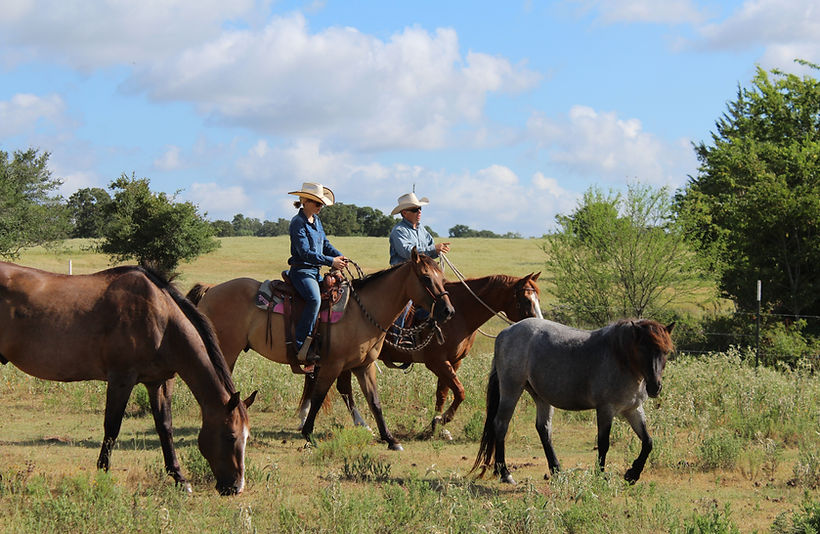 TC Ranch - Natural Horsemanship TX – EquineBooking.com