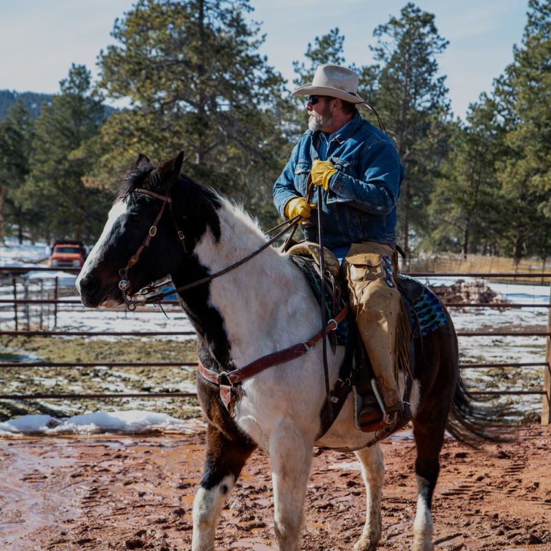 Triple B Ranch – EquineBooking.com