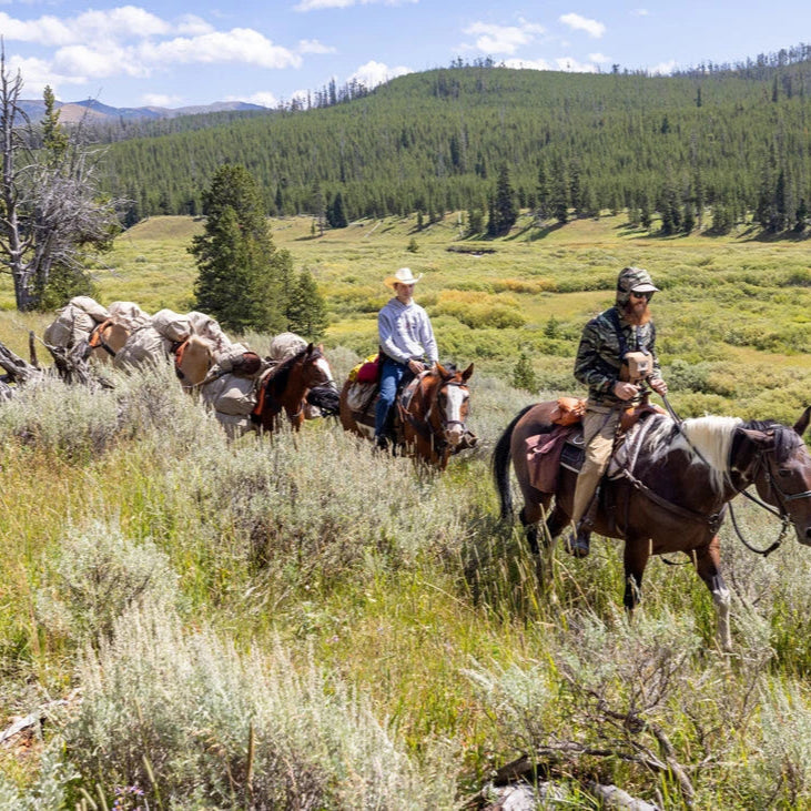 Yellowstone National Park: Backcountry Campsites – EquineBooking.com
